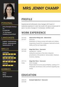 Build Your Perfect Resume Within 10 Minutes - CVChamp